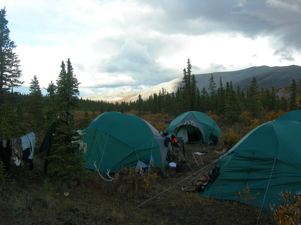 Alaska Wilderness Charters & Guiding - Alaska Caribou Hunting