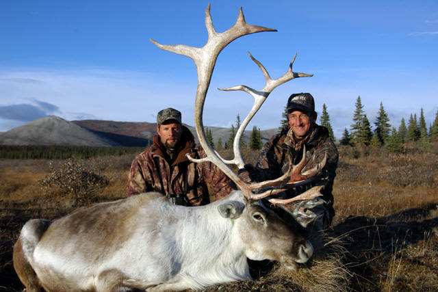 Alaska Wilderness Charters & Guiding - Alaska Caribou Hunting