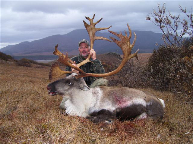 Alaska Wilderness Charters & Guiding - Alaska Caribou Hunting