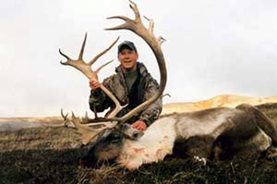 World Record Caribou